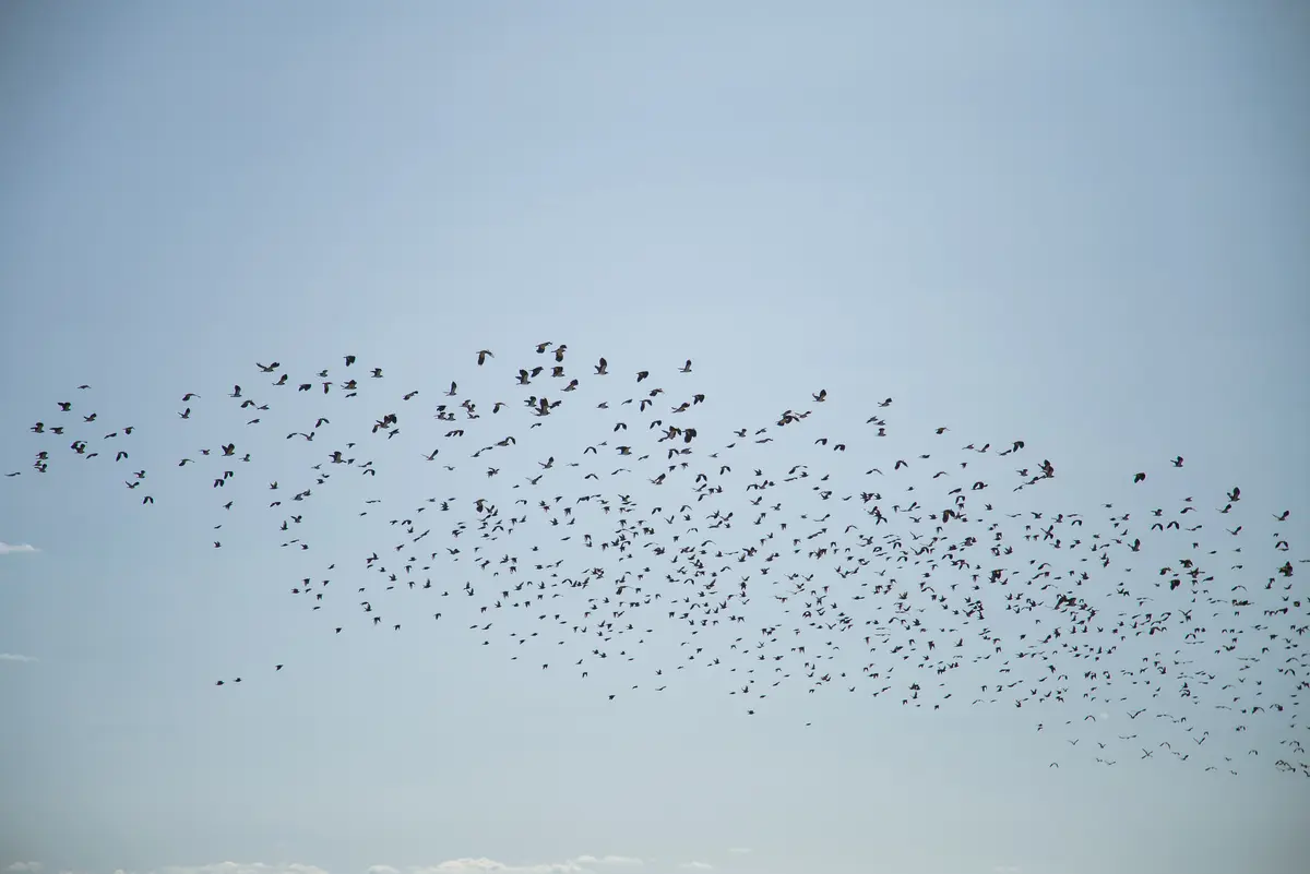 Rückblick zur Vortragsreihe „In Gesellschaft“: Zugehörigkeiten ...